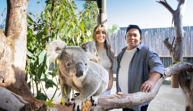 Ultimate Blue Mountains | Iconic Aussie Wildlife With Natural Scenery ...